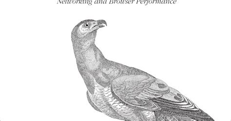 book summary 02 high performance browser networking part3