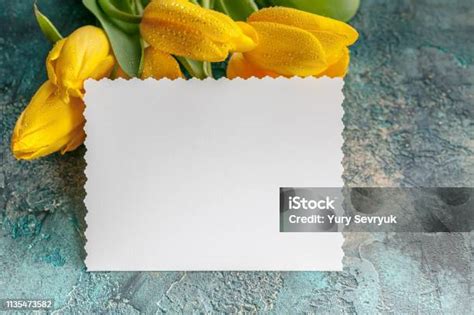빈 흰색 빈 카드와 파란색 콘크리트 배경에 노란색 튤립 평면도 0명에 대한 스톡 사진 및 기타 이미지 0명 3월 공란 Istock