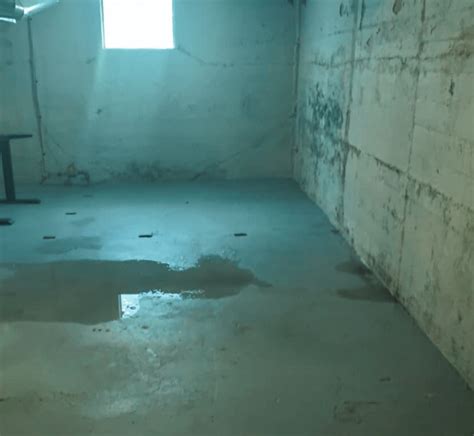 Groundwater Seepage The Ground Water Company