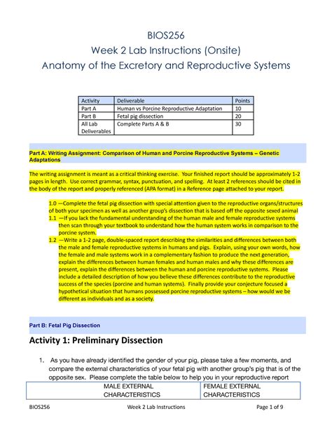 Week 2 Lab LAB BIOS Week 2 Lab Instructions Onsite Anatomy Of The Excretory And