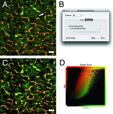 194 Test Image Before A And After C Background Correction In