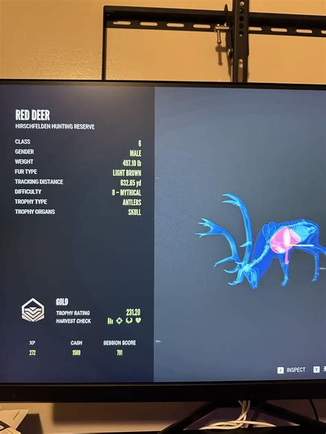 noobie question why isn t this a diamond r thehunter