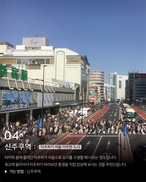 트립고잉 Tripgoing Twitter