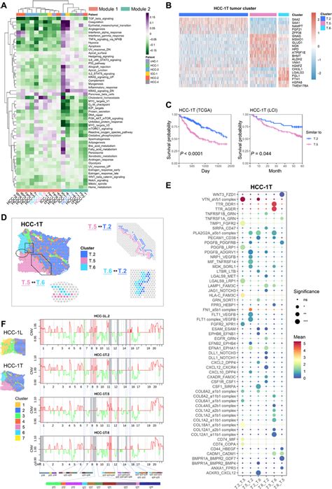 Intratumor Heterogeneity In Plcs A Clustered Heatmap Of Tumor