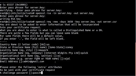 How To Create A Self Signed Ssl Certificate For Apache Youtube