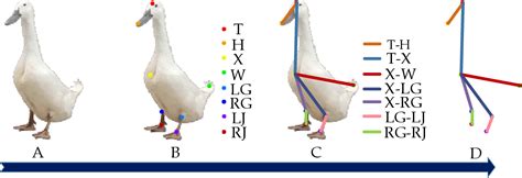 Table 1 From Pose Estimation And Behavior Classification Of Jinling