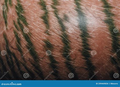 Weird Skin Pattern Stock Illustration Illustration Of Weird
