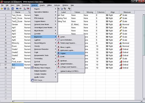 Conduct And Interpret An Ordinal Regression Statistics Solutions