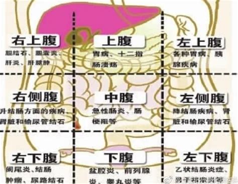 左侧腹部隐痛要警惕三种病什么原因 左侧腹部隐痛放屁多怎么缓解