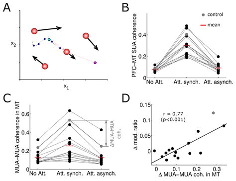An Automated Optimization Procedure Found 14 Additional Mt Networks Download Scientific