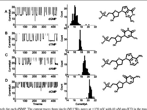 Purine Deoxyribonucleoside Triphosphate Biosynthetic Process Semantic Scholar