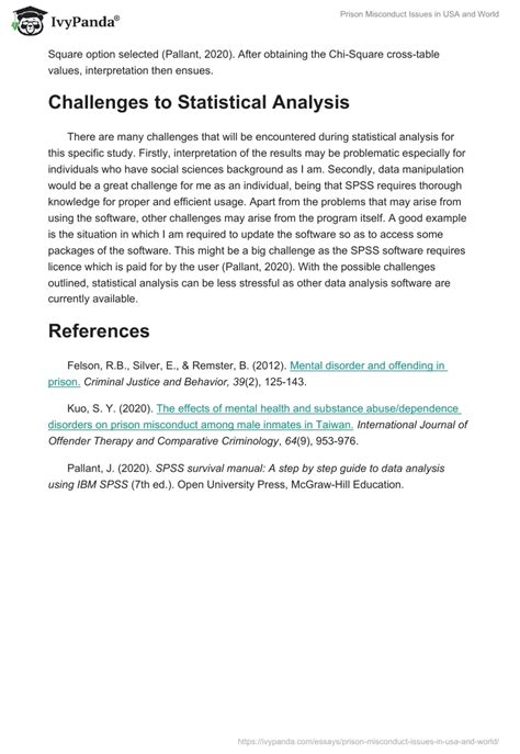 Prison Misconduct Issues In Usa And World 1408 Words Research Paper Example