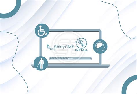 Shiny Cms Web Accessibility Widget Installation All In One Accessibility