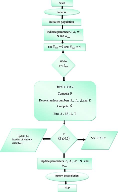 Flowchart Of The Developed Wtsa Download Scientific Diagram
