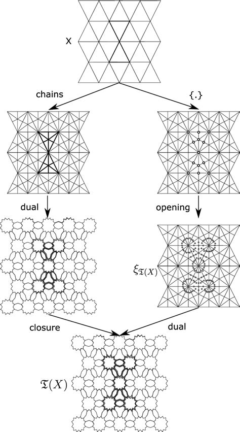 Starting From The Simplicial Complex X Resulting From The Closure Of Download Scientific