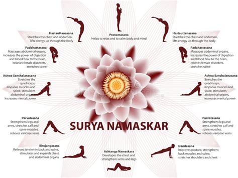 Yoga Infographics Surya Namaskar Sequence Stock Vector Illustration