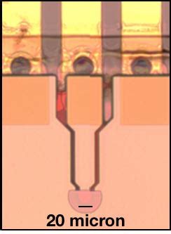 Times Faster Processing Innovative Detector For Large Scale