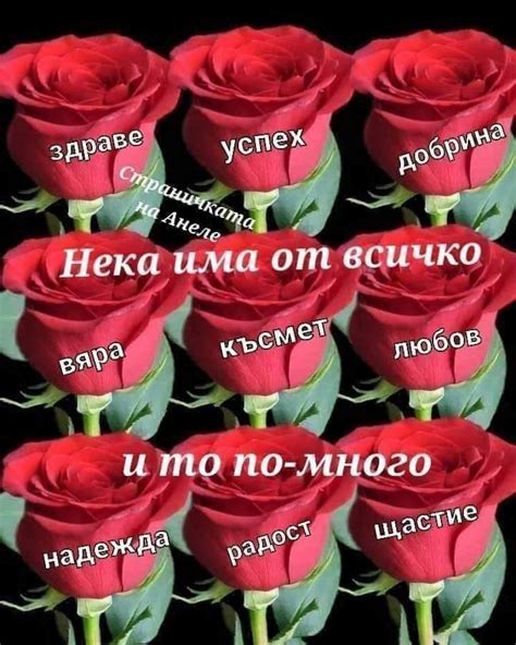 Дневен център за възрастни хора Дълголетиеfacebook