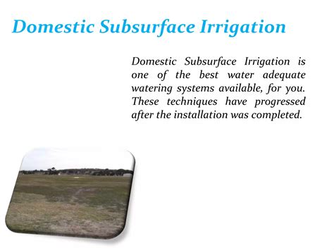 Subsurface Drip Irrigation 2 Pptx