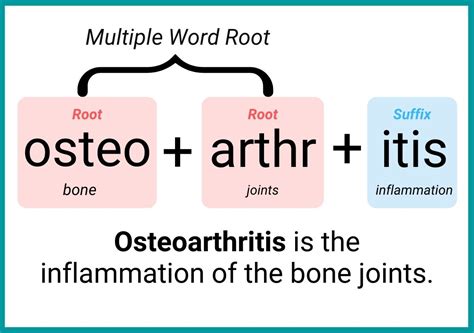 Introduction To Medical Terminology The Ultimate Guide Master