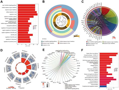 Gene Ontology GO Functional Enrichment Analysis And Kyoto