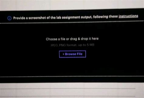 Provide A Screenshot Of The Lab Assignment StudyX
