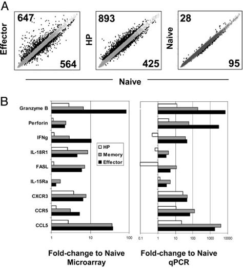 Microarray Analysis Of Effector And Hp Cells A Log Scale Plot Of