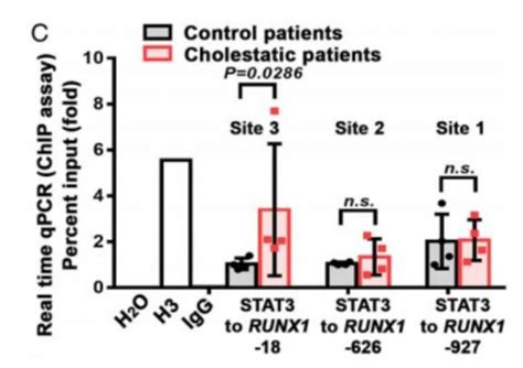 文献解读：runx1基因在胆汁淤积型肝脏炎症中的作用及其机制 生物器材网