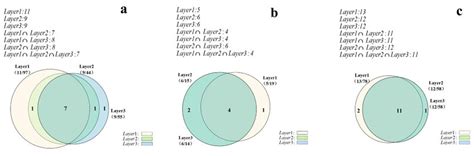 Distribution Of Overlapping Nodes In Selected Areas A Area B Download Scientific Diagram