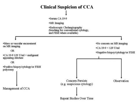 Primary Sclerosing Cholangitis Psc Pptx