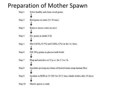 mushroom spawn preparation pptx