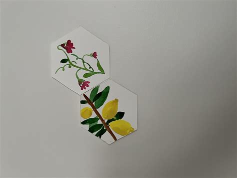 8 Hexagon Example And Progress Photos Skillshare Student Project