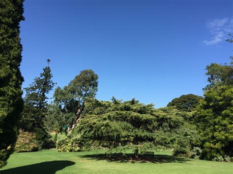 Running Spark Nlp In Docker Container For Named Entity Recognition