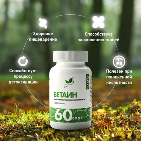 Бетаин 600 мг, 60 капсул →NaturalSupp ᐈ Купить в Казахстане | Алматы ...