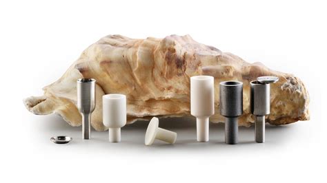 시차 주사 열량계 Dsc 를 이용한 액체 증발의 압력 의존적 조사 Netzsch Analyzing And Testing