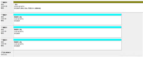 在window Server虚拟机上搭建raid1与raid5阵列windows Server 2016 Raid1 Csdn博客
