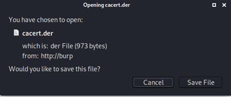 Owasp Top 10 Application Vulnerabilities Hacker Notes Executeatwill