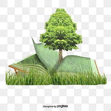 Book Tree PNG Transparent Tree And A Book Book Clipart Trees Tree PNG Image For Free