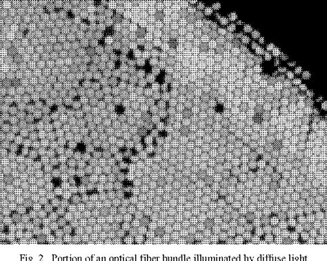 Figure 2 From Calibration Of Incoherent Optical Fiber Bundles For Image Transmission Fibers