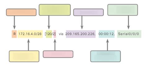 CCNA Chapter D Diagram Quizlet