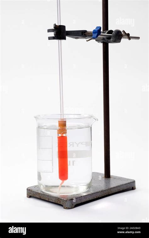 Osmosis Demonstration Apparatus Used To Demonstrate The Movement Of Molecules Through Osmosis