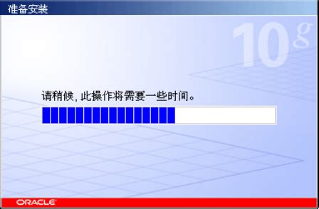 Oracle 10G安装教程 忘崽牛仔 博客园
