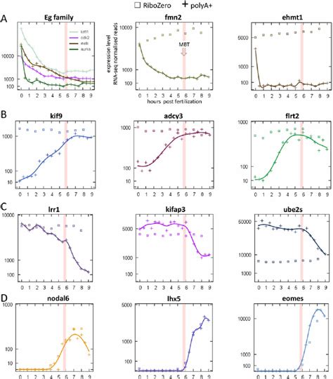 Expression Profiles Of Split Sample Polyaribo Zero Rna Seq Data