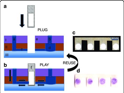 Working Principle Of The Hybrid Pnp Microfluidic Device The Figure