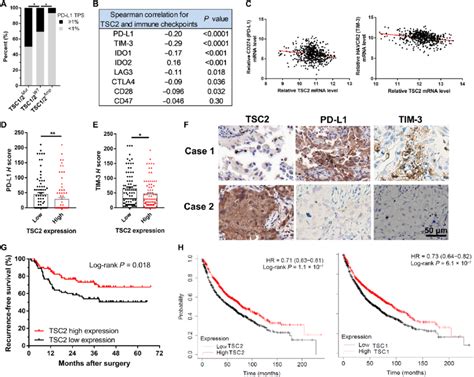 Correlation Of Tsc2 With Immune Checkpoints In Patient Samples A Download Scientific Diagram