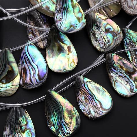 Blue Abalone Shell Etsy