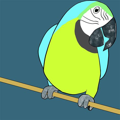 Parrot With Broken Beak By Elementalpenguin On Newgrounds