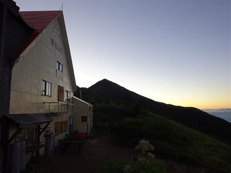 Demo Object Detection Dataset By Weed Lab