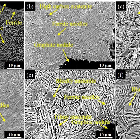 Etched Microstructure Of Ab As Cast Di And C G Adis Download