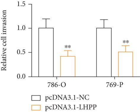 The Effect Of Lhpp On Rcc Cell Invasion A B Rcc Cell Invasion Was